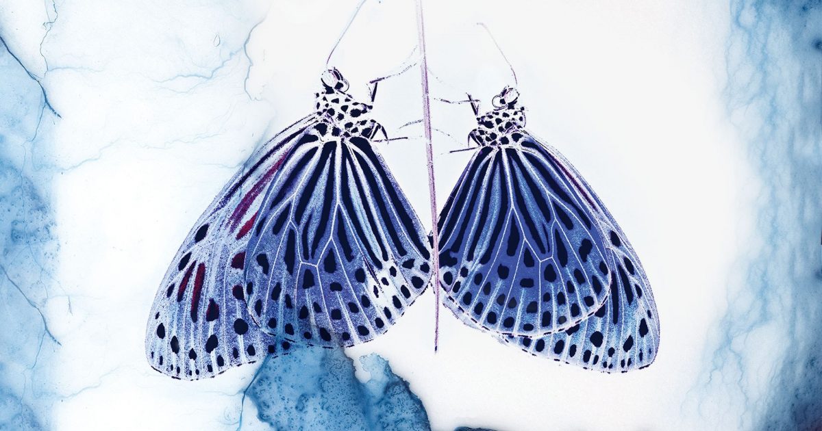 The Butterfly Lovers | Singapore Symphony Orchestra